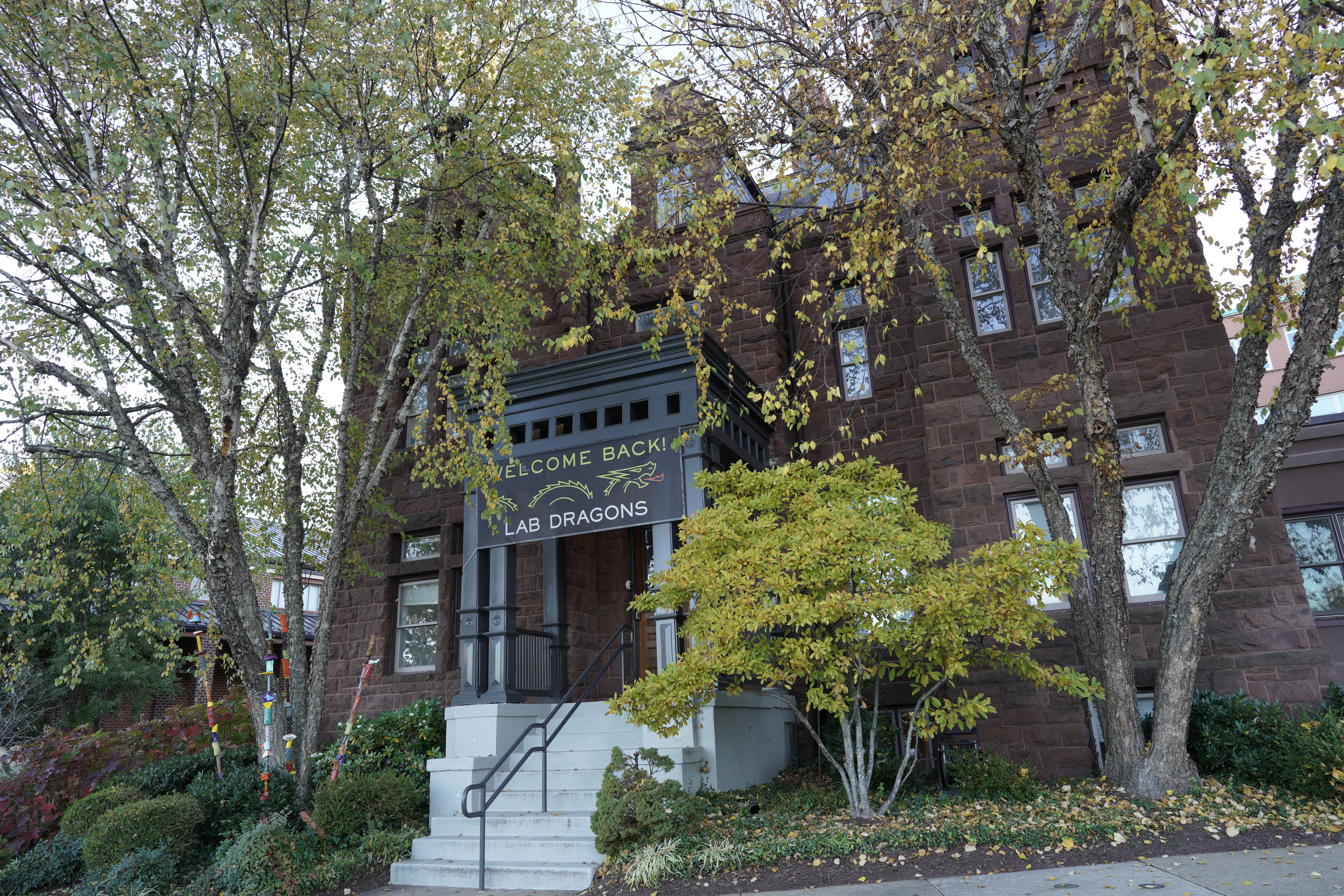 The Lab School Celebrates World Dyslexia Day | The Lab School